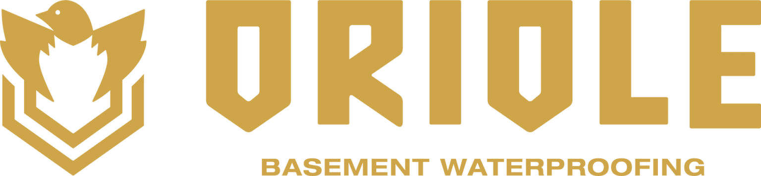 Water Woes No More: Finding Your Perfect Basement Waterproofing Partner ...